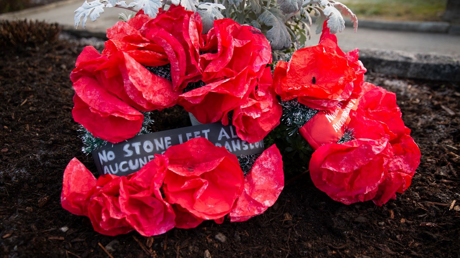 Erma Stephenson students honour veterans with No Stone Left Alone ...